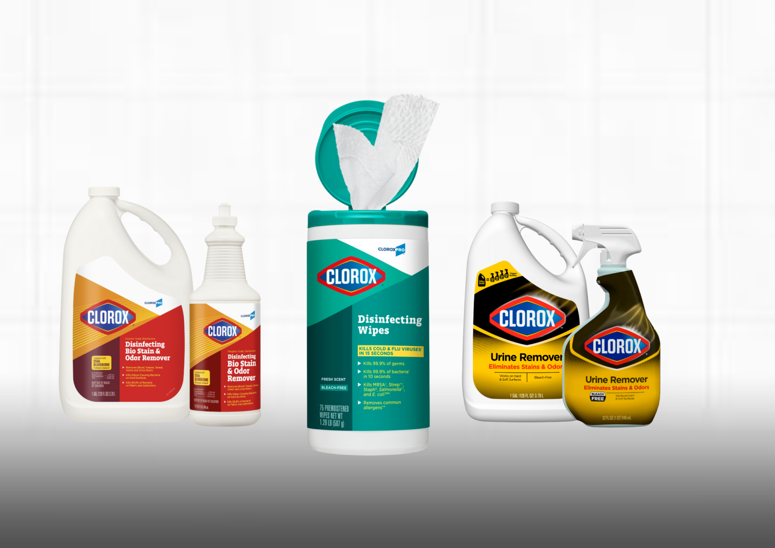 Clorox Catalogue - Clorox Professional Products Company